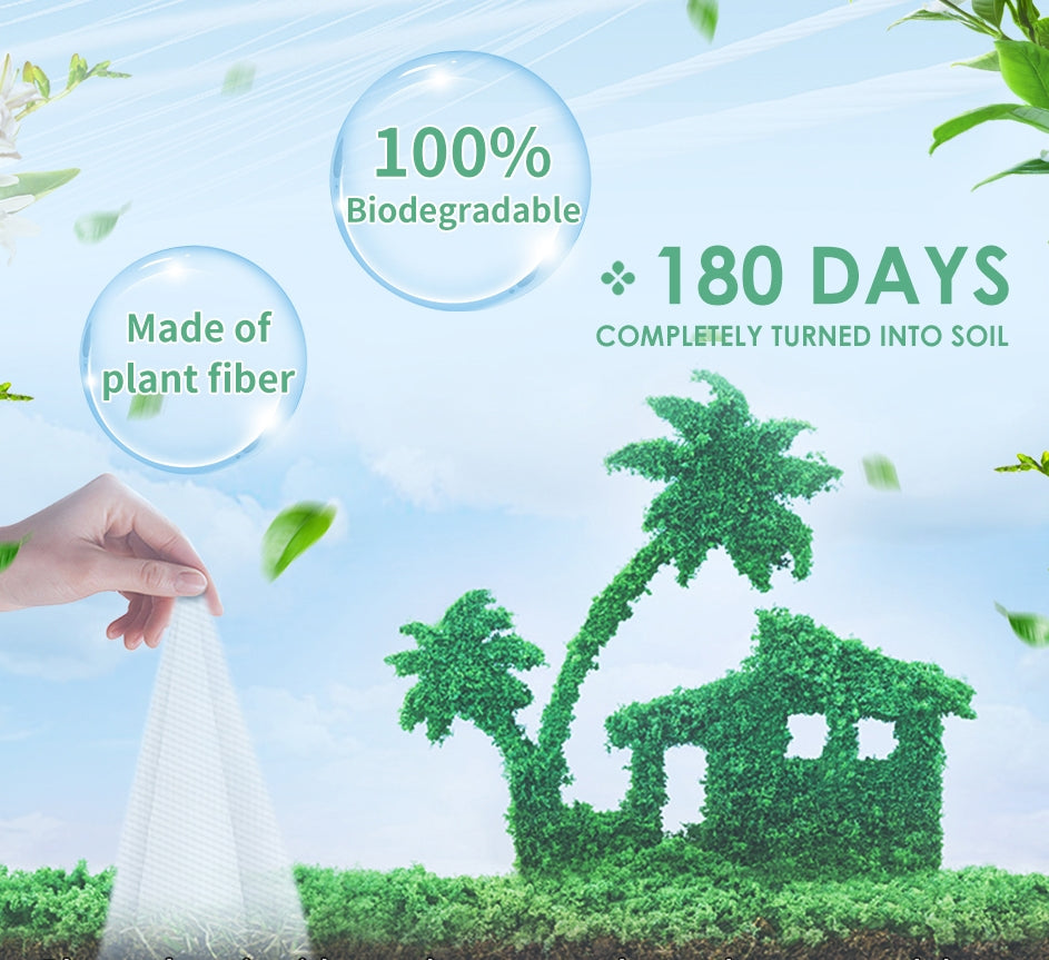 Ditoi Beauty Official Shop | Disposable Face Towels